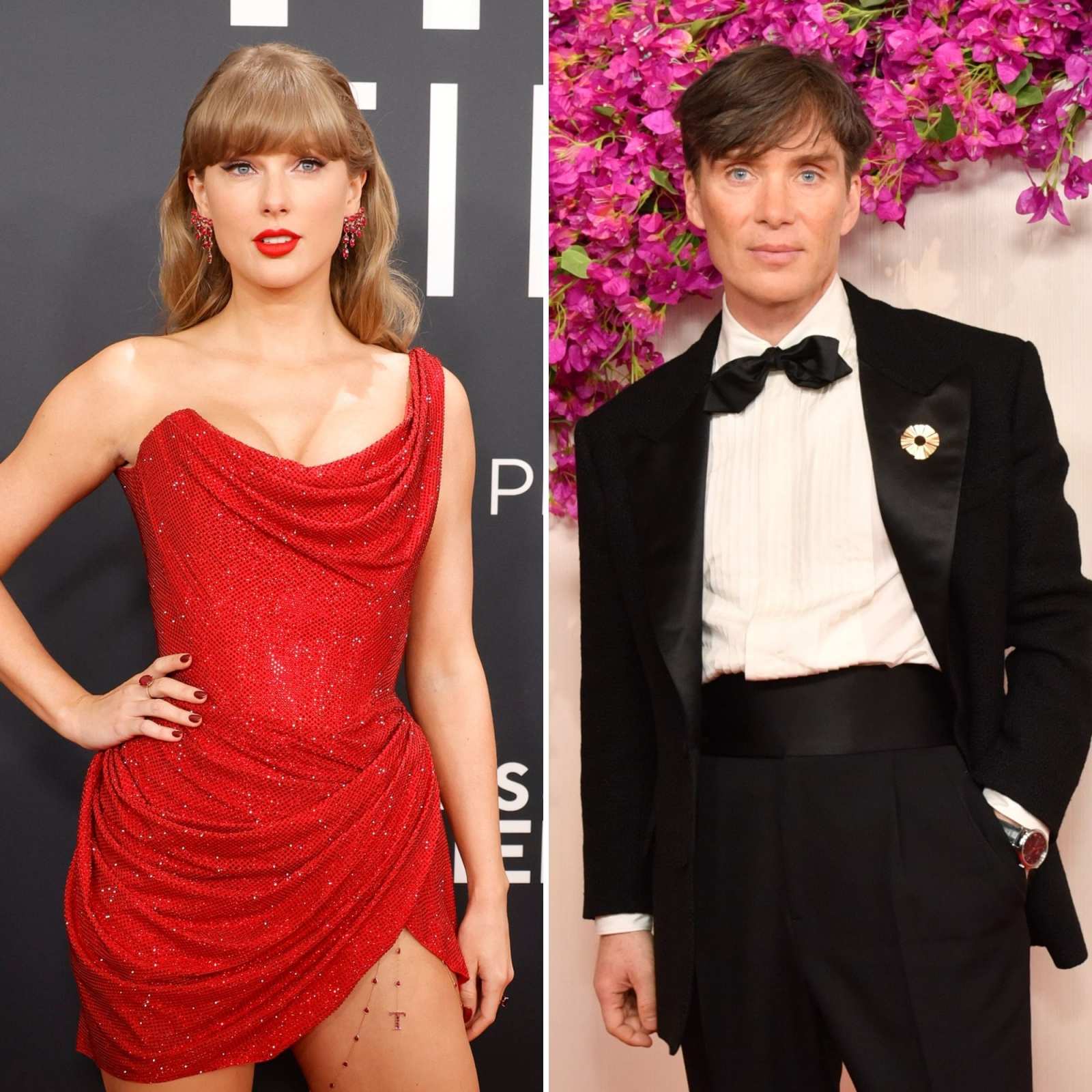 What Role Does Cillian Murphy Play in Taylor Swift's 'Opalite' Music ...
