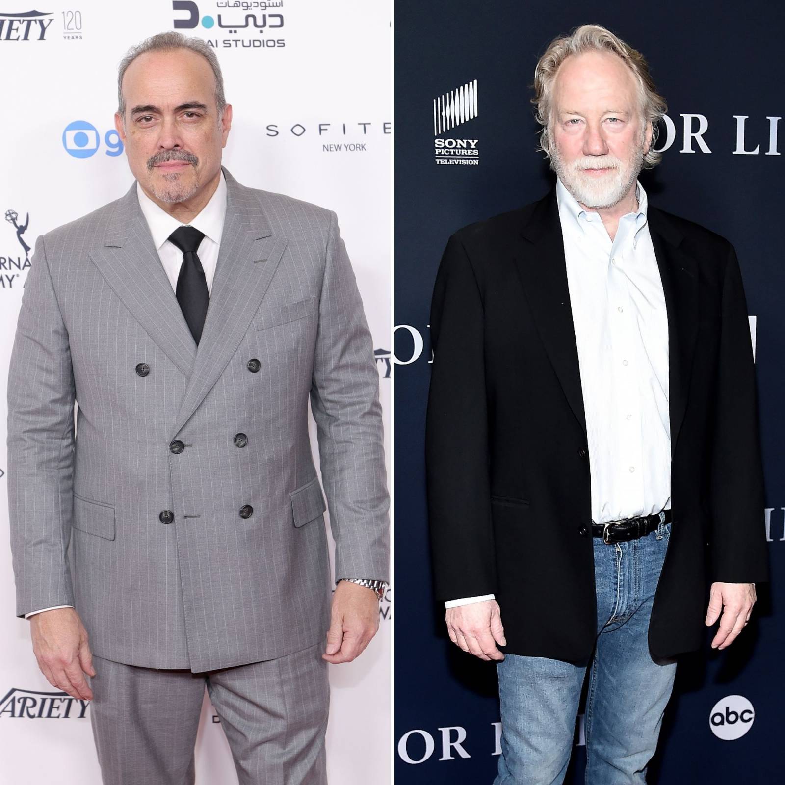 Who Is David Zayas? Actor Replacing Timothy Busfield on Law & Order ...