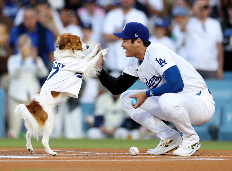 Shohei Ohtani’s Fan-Favorite Dog Decoy Gets a 28-Foot Tribute | Us Weekly