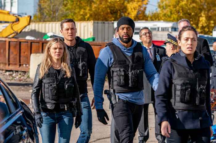 Jesse Lee Soffer and Tracy Spiridakos Want a Tracker Cameo | Us Weekly