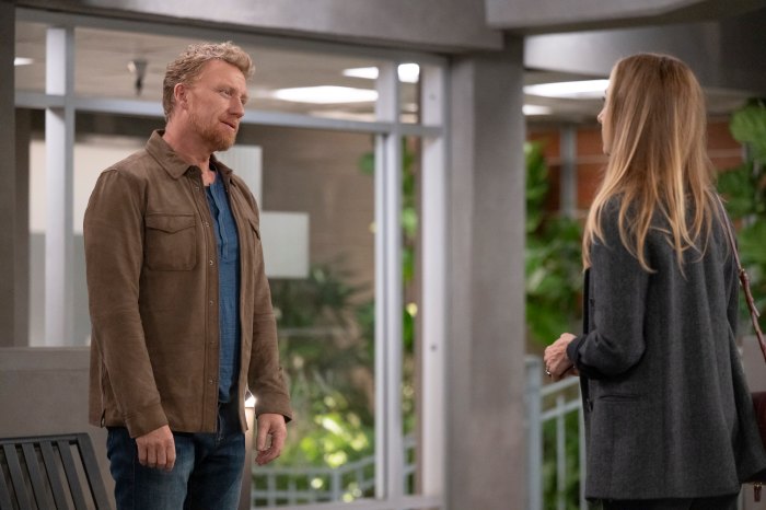 Grey's Anatomy Characters Owen and Teddy's Ups and Downs