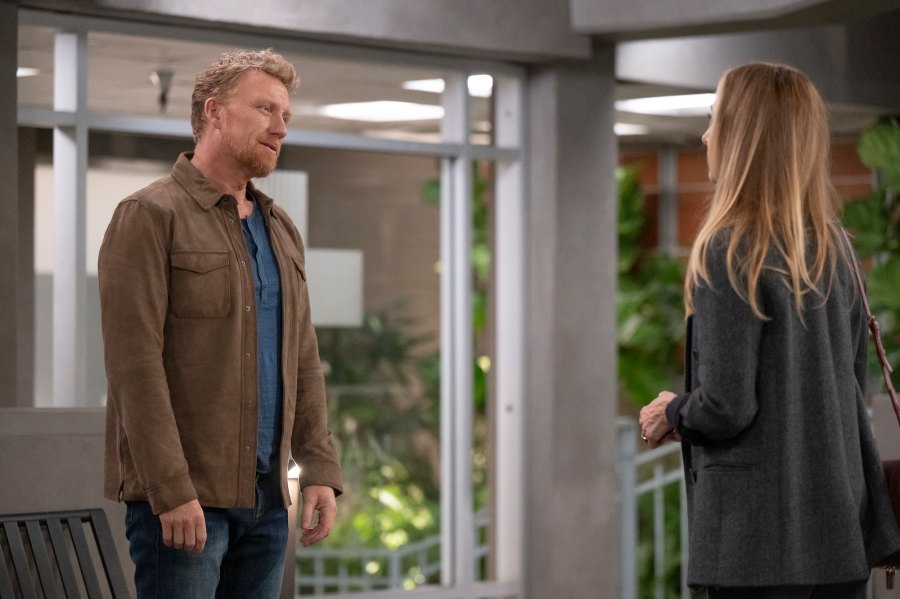Grey's Anatomy Characters Owen and Teddy's Ups and Downs