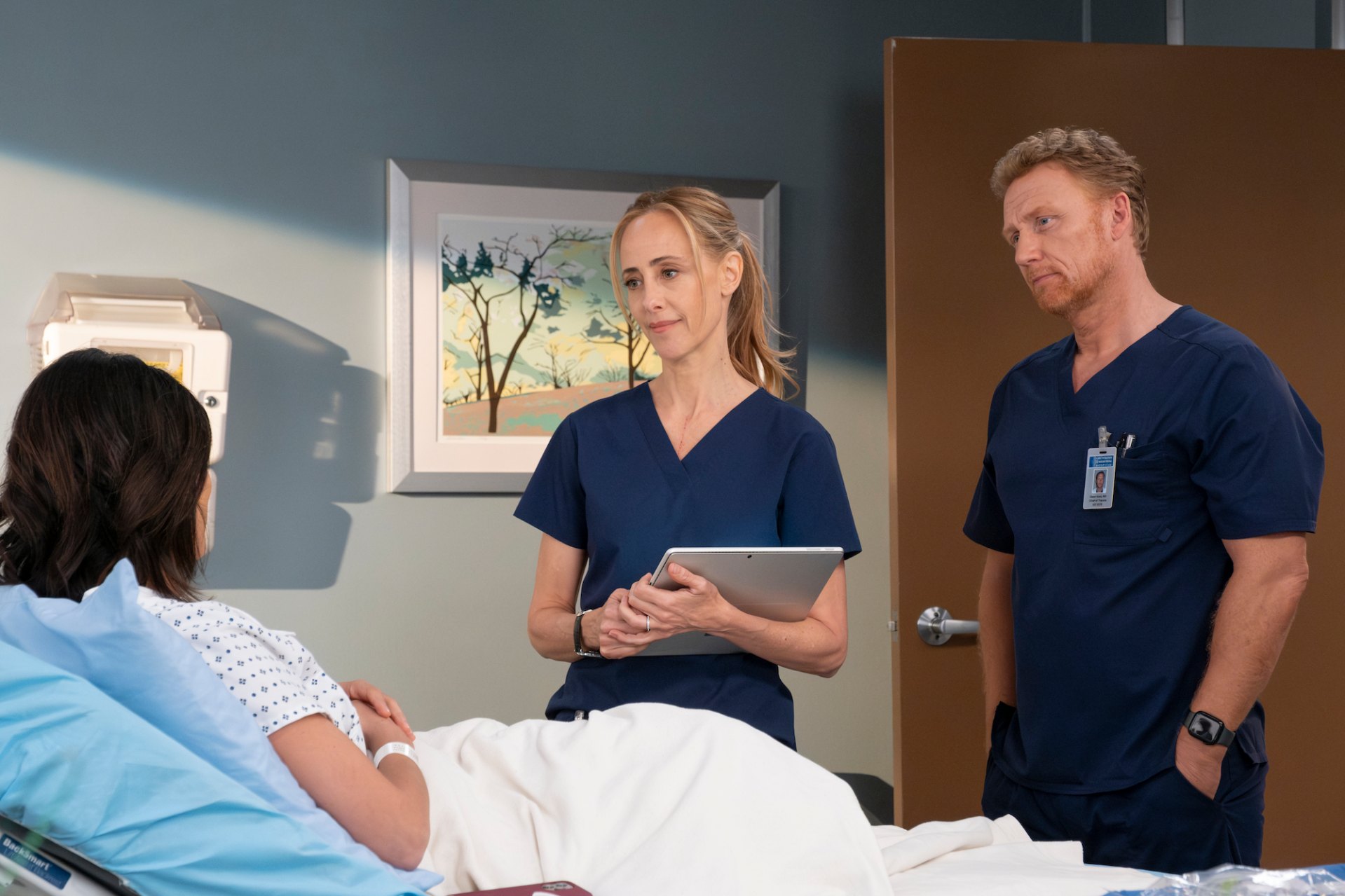 Grey's Anatomy Characters Owen and Teddy's Ups and Downs