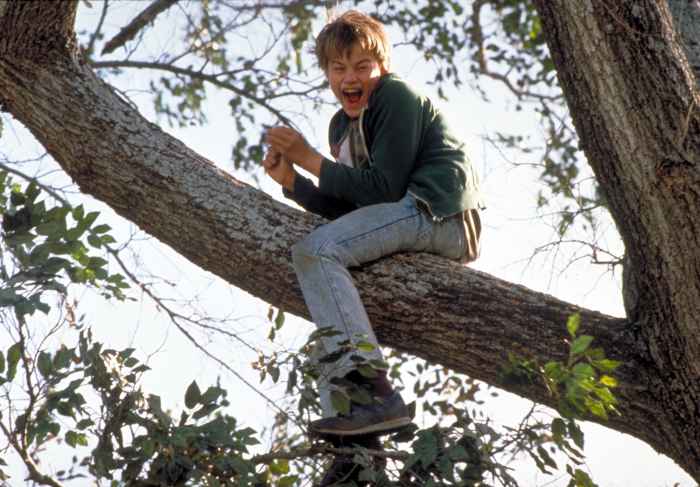 How Many Oscars Does Leonardo DiCaprio Have? Roles Revisited