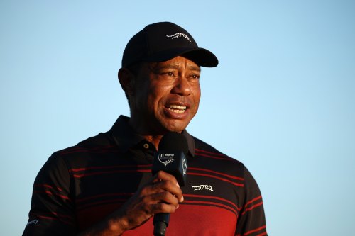 Tiger Woods' Rollover Car Crash and DUI Arrest Explained