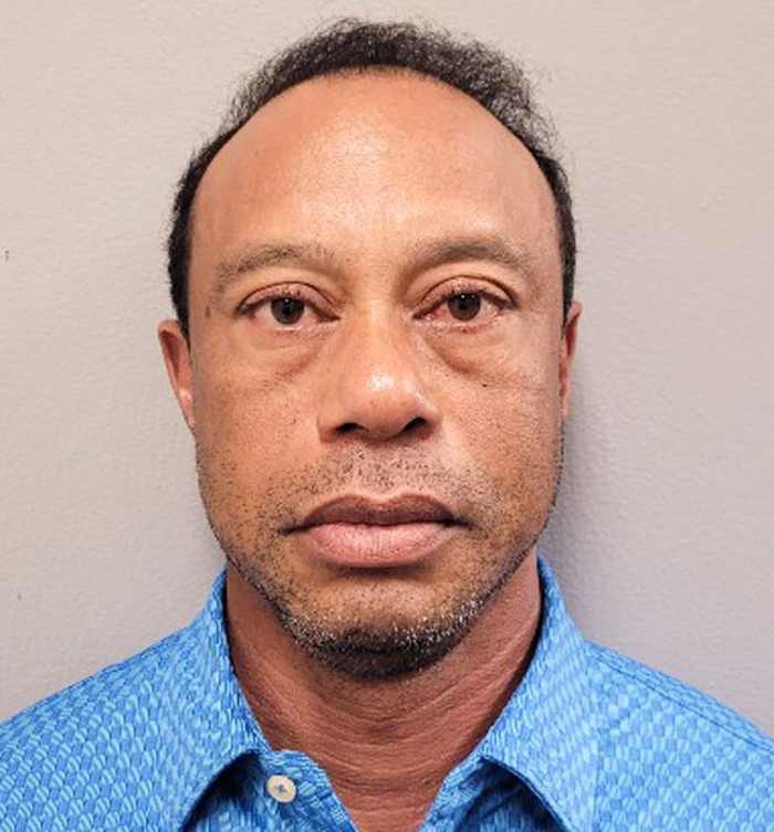 Tiger Woods' Rollover Car Crash and DUI Arrest Explained