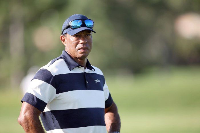 Tiger Woods' Private Jet Lands in Switzerland Amid DUI Arrest