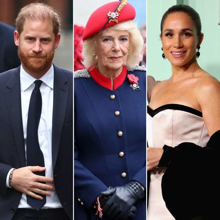 Prince Harry Responds to Claim Camilla Called Him Brainwashed