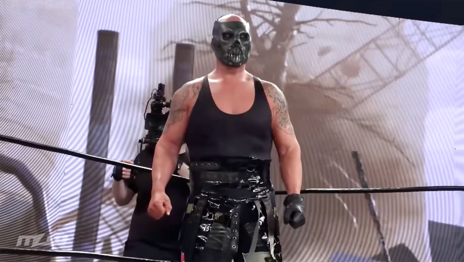 Pro Wrestler Stabbed by Fan After Match in Wild Scene