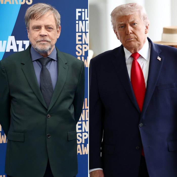 Mark Hamill Apologizes For Ai Photo Of Donald Trump In Grave