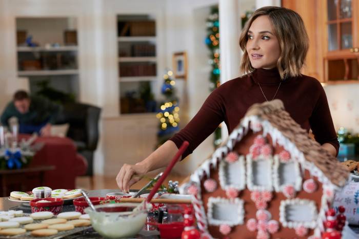 Rachael Leigh Cook Had 'Resistance' to Working With Hallmark