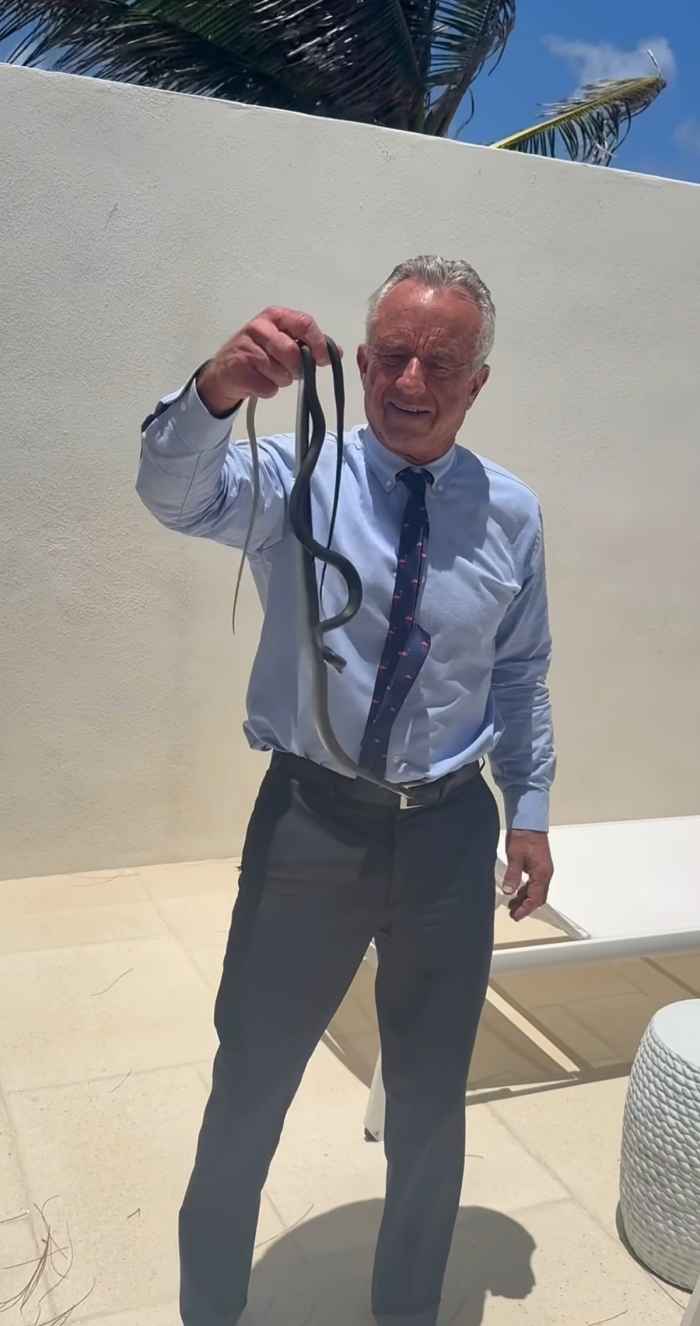 Robert F. Kennedy Jr. Stops 2 Snakes From Having Sex