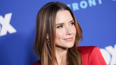 Copy Sophia Bush S East West Bag Style For 20