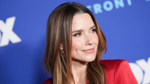 Copy Sophia Bush S East West Bag Style For 20