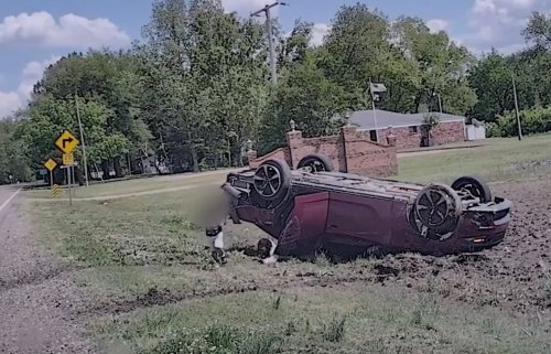 Toddler Runs From Wrecked Car After Police Chase Crash
