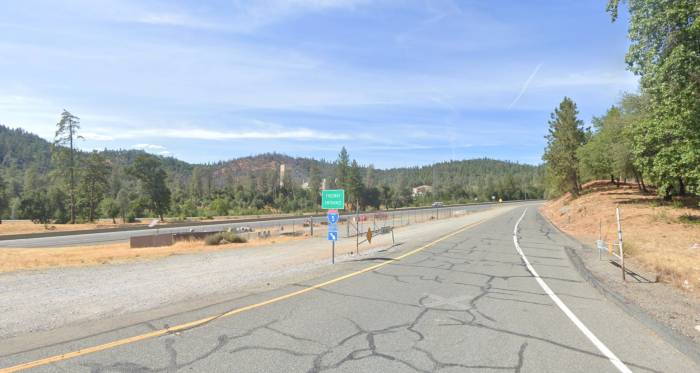 Patrons of the Arts Couple Found Dead on Side of Highway