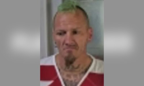 Man Killed His Dog, Skinned Animal and Planned to Eat It