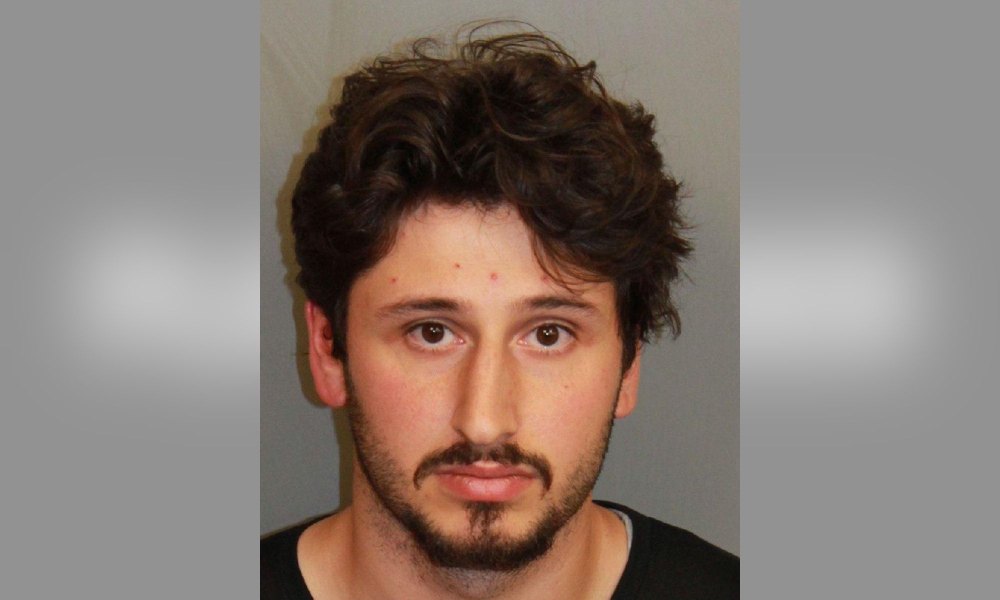 Man Arrested, Threw 5 Kittens Out of Moving Car on Highway