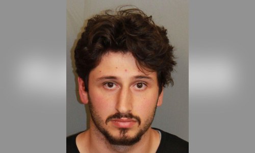 Man Arrested, Threw 5 Kittens Out of Moving Car on Highway