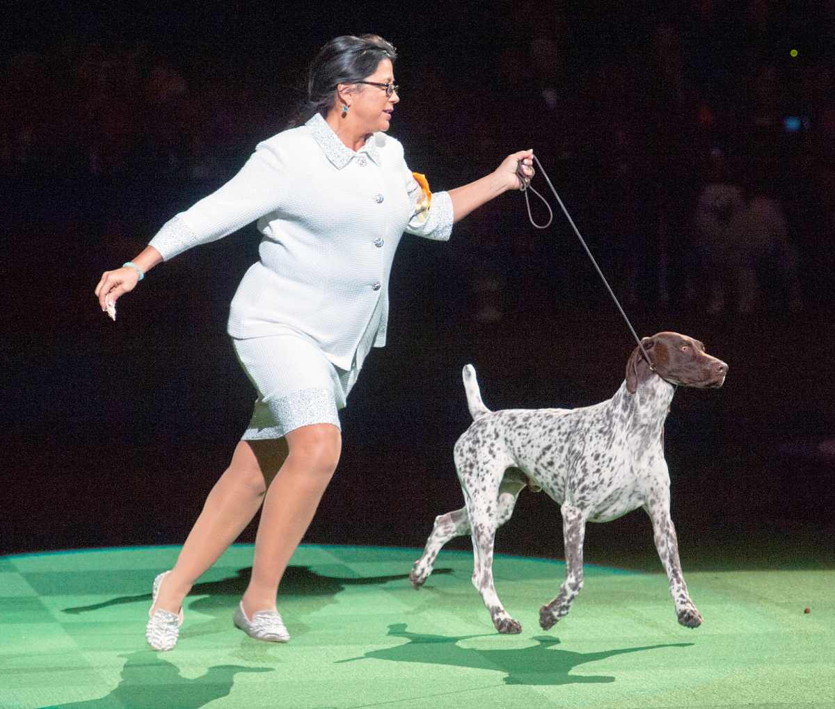 Westminster Dog Show Winner Is German Shorthaired Pointer CJ | Us Weekly