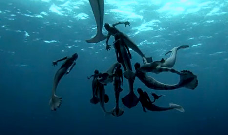 Real Mermaids Discovery Channel New Evidence