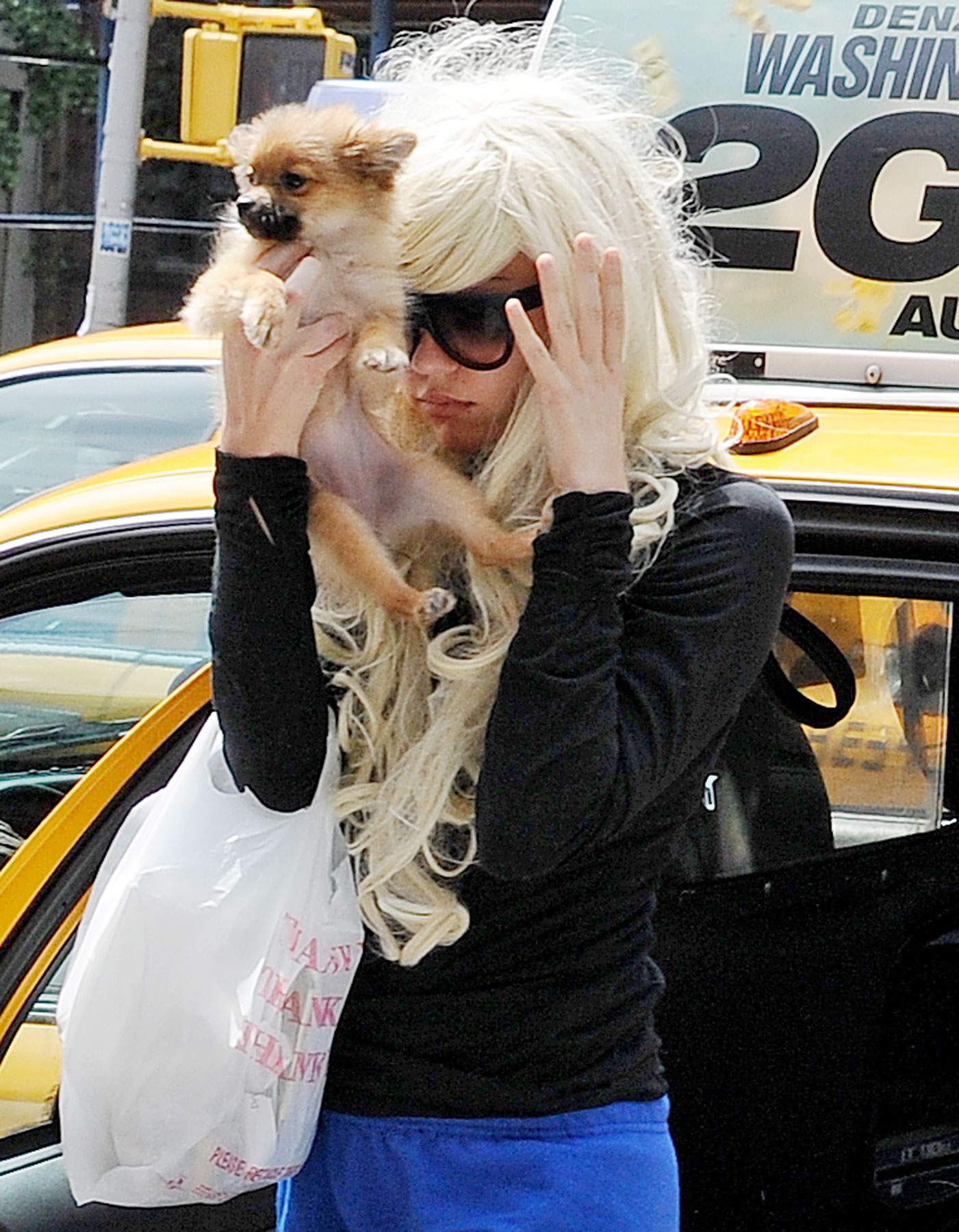 Amanda Bynes' Dog Soaked in Gasoline, Burned After Fire: Report