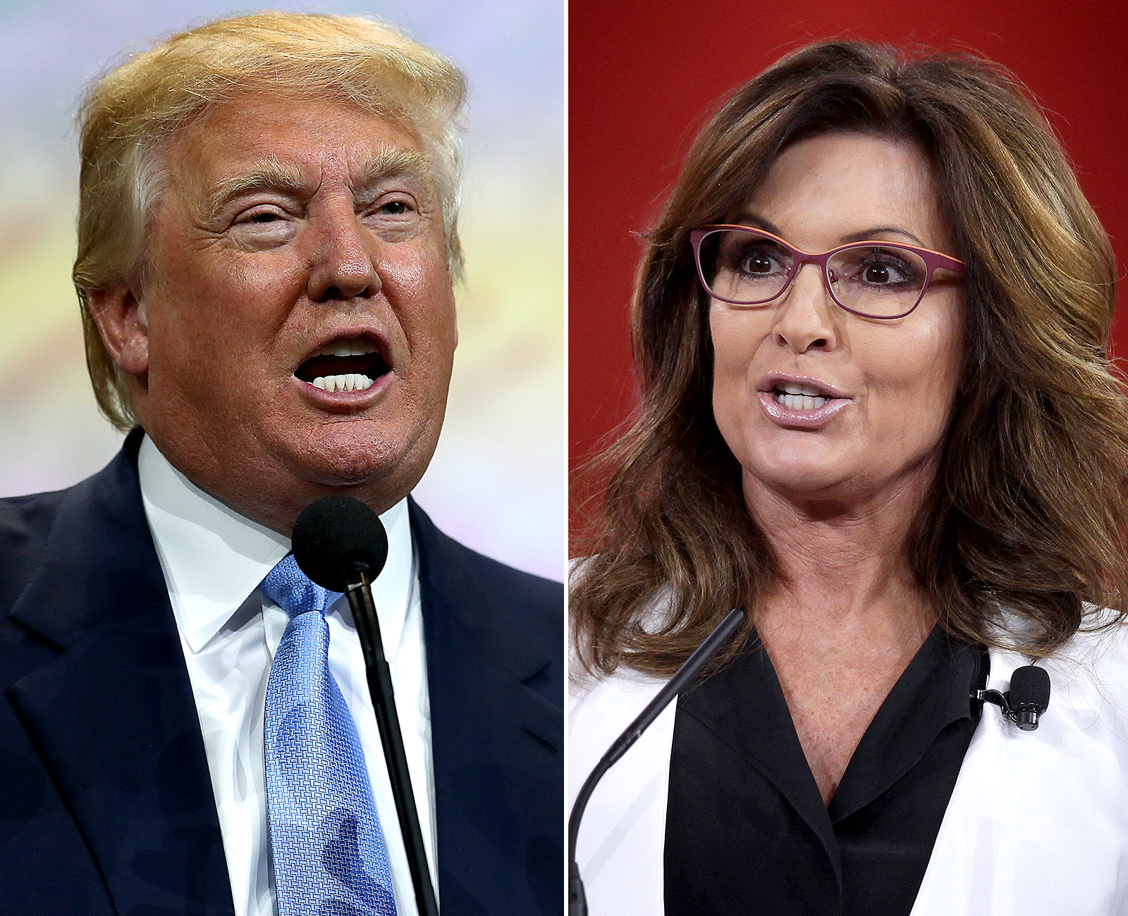 Donald Trump Would "Love" for Sarah Palin to Join His Administration