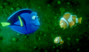 Finding Dory Trailer Is Finally Here, and She's Still Forgetful: Watch