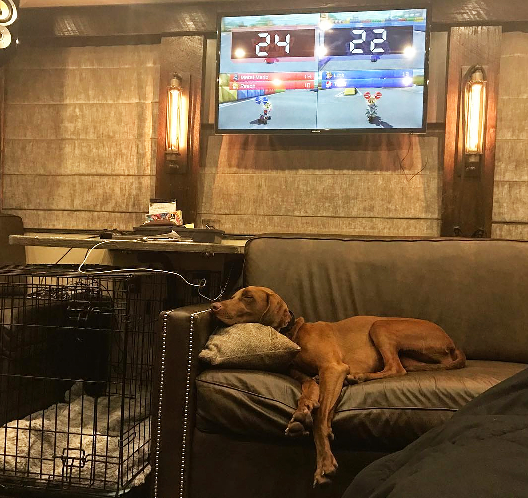 Brett Eldredge Shows Off His Furry BFF, Dog Edgar