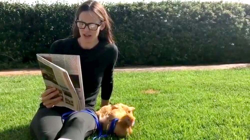 Watch Jennifer Garner Read to Her Pet Chicken Regina George