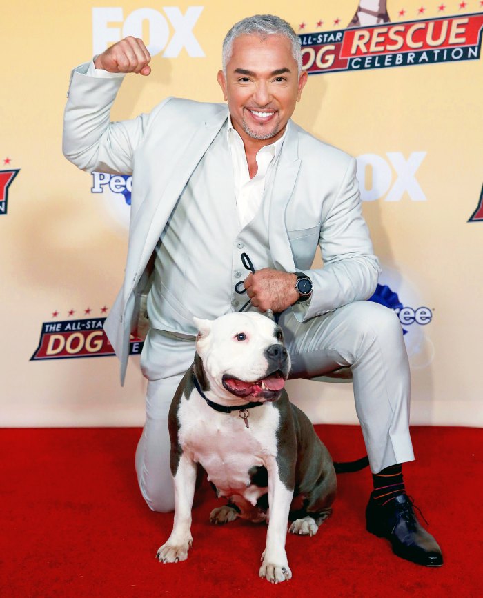 Cesar Millan’s Tips on How to Prepare Your Dog for a Baby
