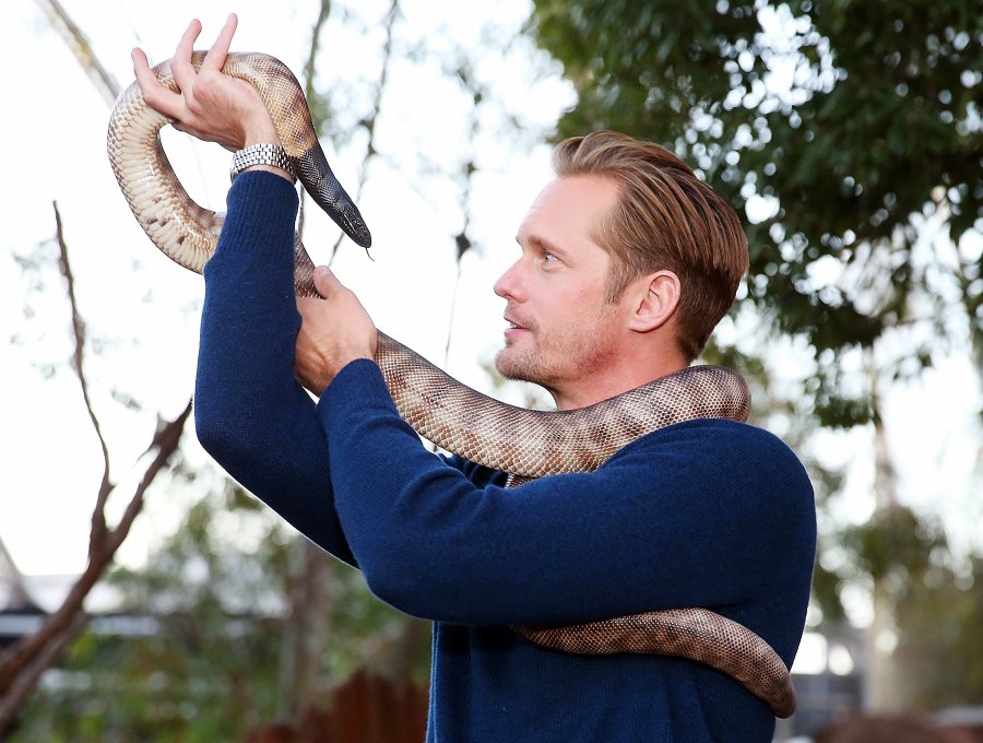 Alexander Skarsgard Cuddles With Zoo Animals in Australia