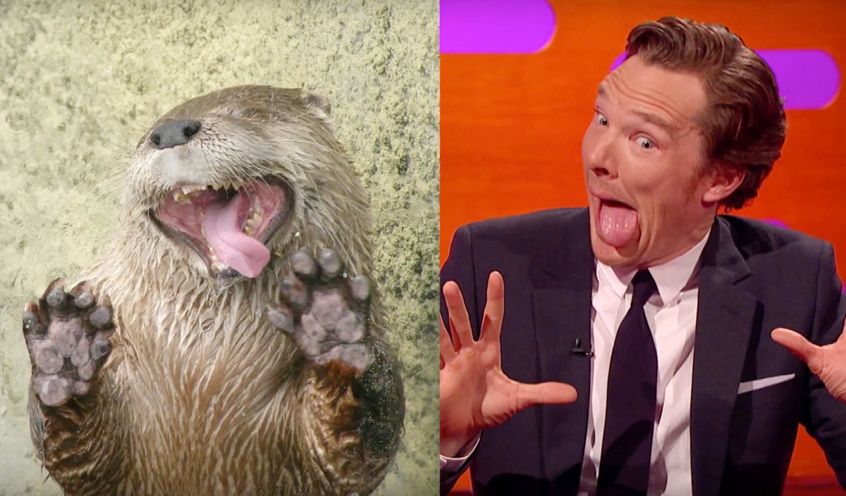 Benedict Cumberbatch Imitates an Otter, Gets a Kiss From Johnny Depp: Watch