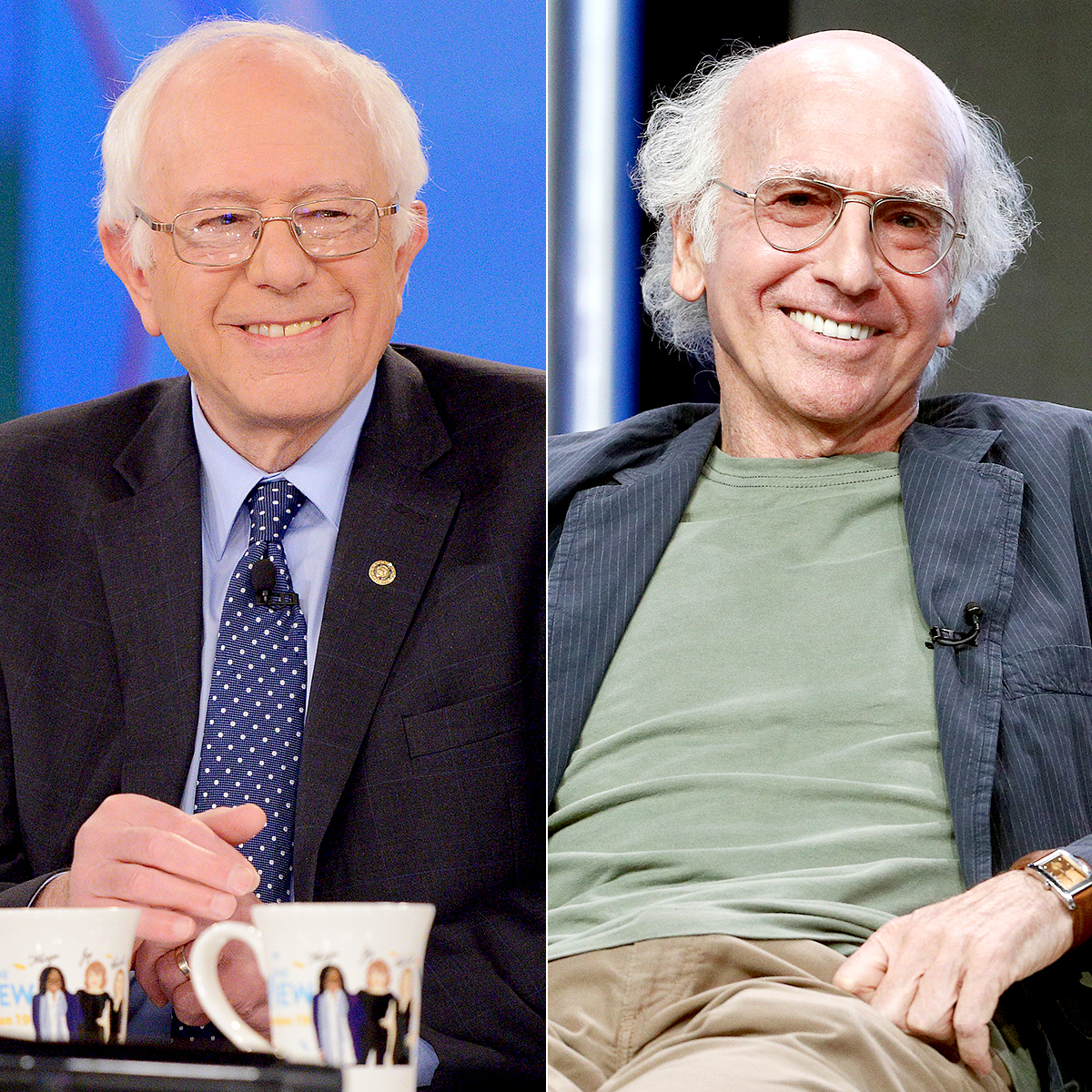 Larry David and Bernie Sanders Are Actually Related!