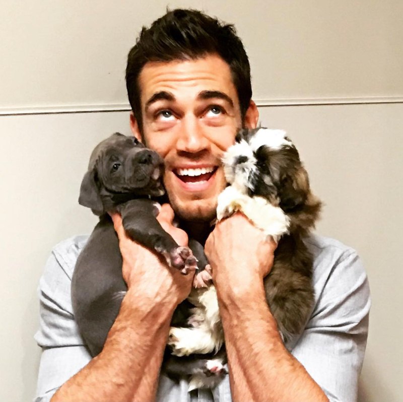 Hot Veterinarian Dr. Evan Antin Is the Newest Internet Sensation: Photos