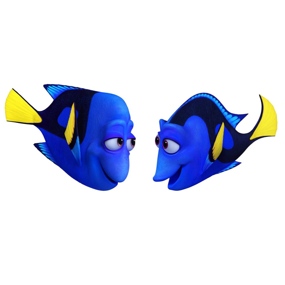 'Finding Dory’: Meet the New Characters From Disney Sequel