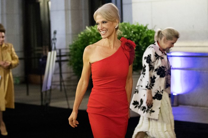 Kellyanne Conway Allegedly Punched Someone at Inaugural Ball