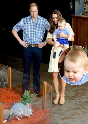 Prince George Turns 1: 10 Cutest Pictures From His First Year