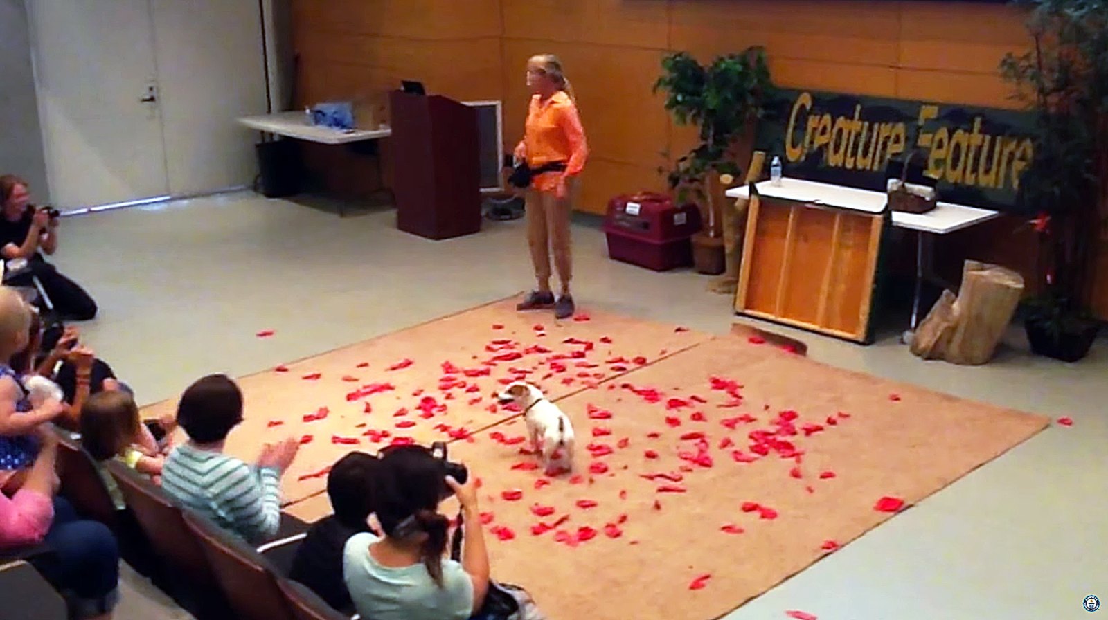 Jack Russell Breaks Guinness World Record Popping Balloons