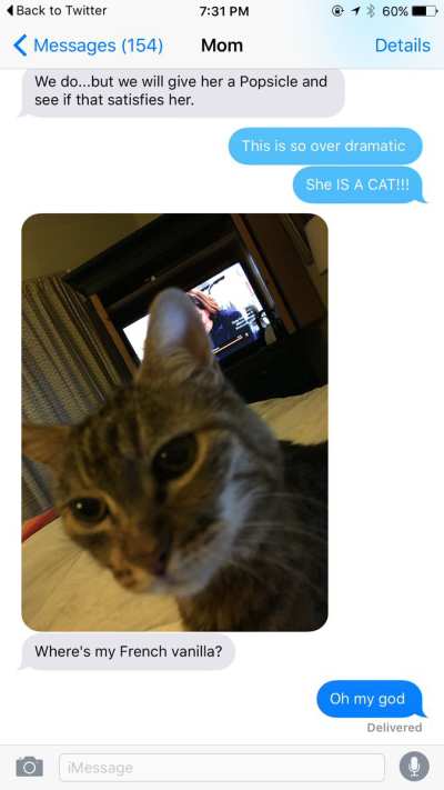 This Hilarious Text Exchange About the Family Cat Is Going Viral | Us ...