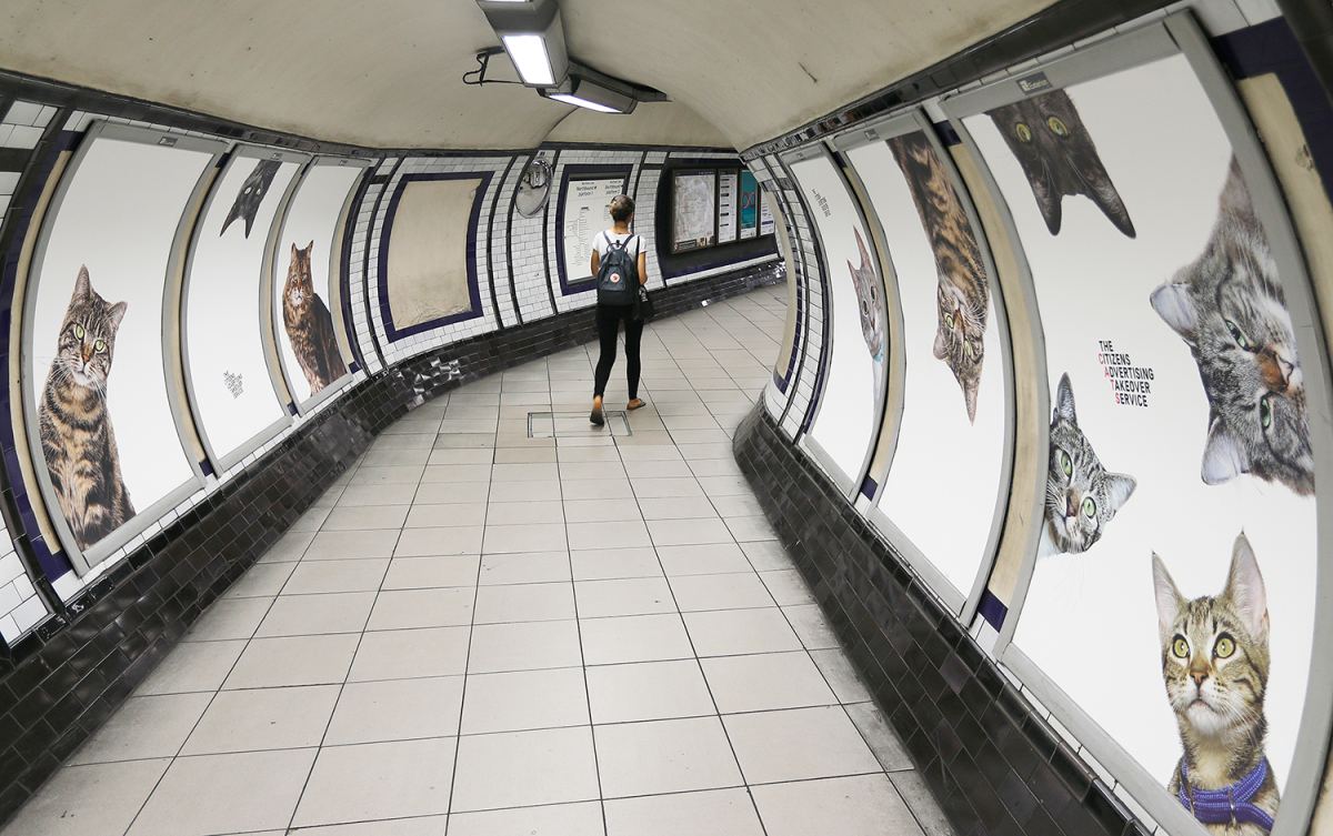 Why This London Tube Station Is Covered With Cat Photos | Us Weekly