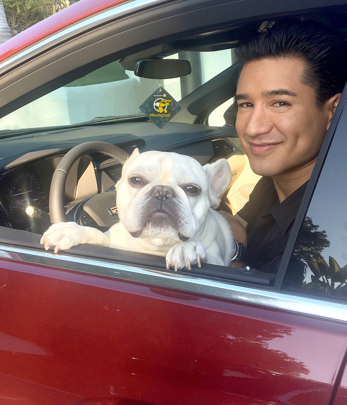 Mario Lopez ‘Cannot Imagine’ Life Without His Dogs