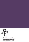 Prince Honored With His Own Shade of Purple | Us Weekly