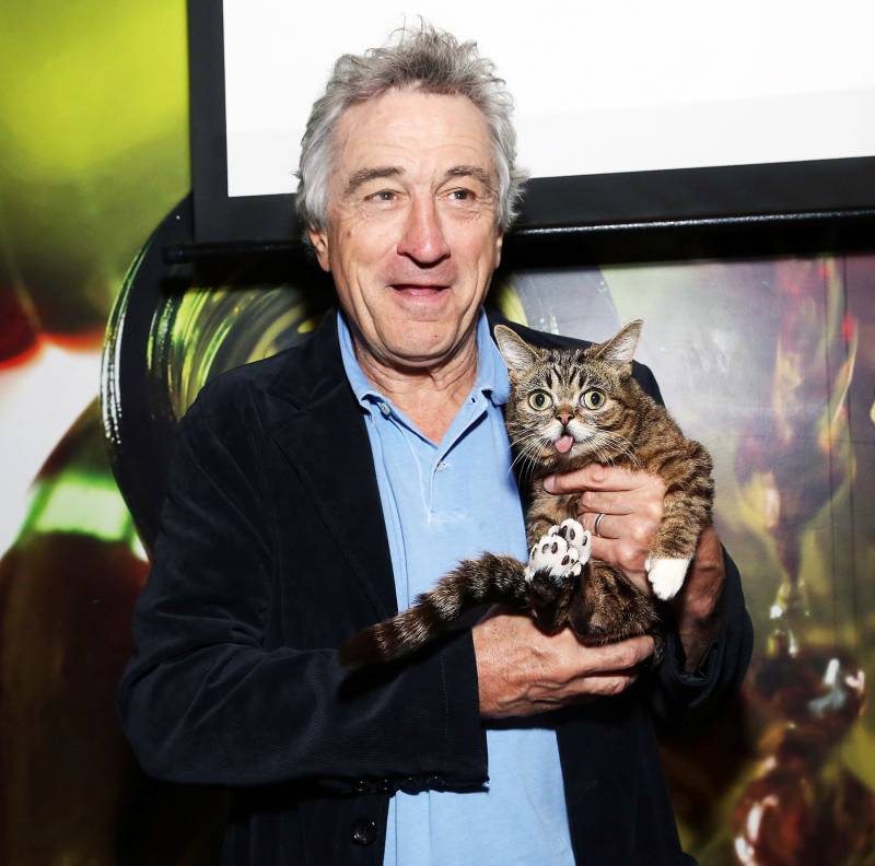 Lil Bub’s Owner Reveals Her Best Celebrity Encounter | Us Weekly