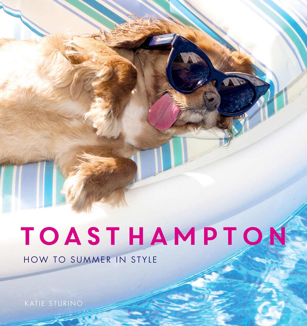 Instagram-Famous Dog Toast of ToastMeetsWorld Is Getting a Book: Pics ...