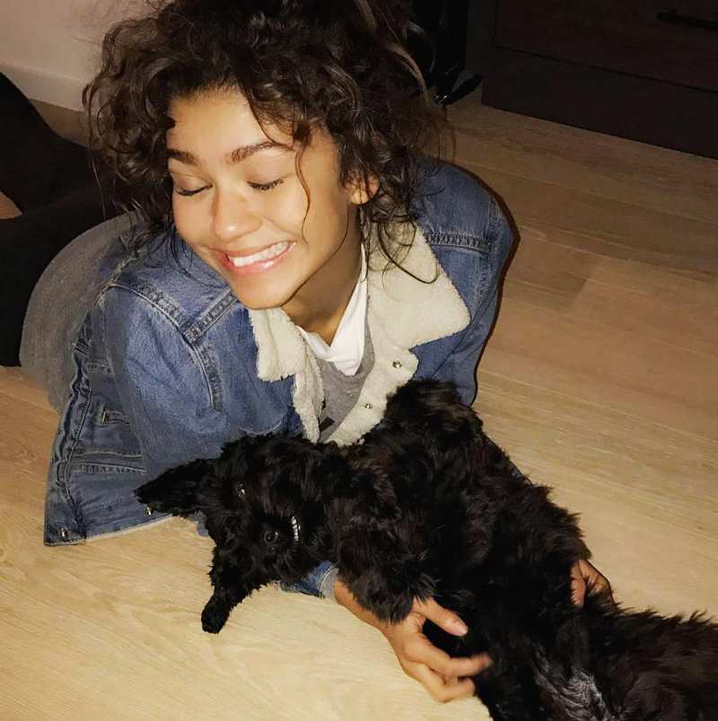 Zendaya's Dog Has a Better Life Than Us: Watch! | Us Weekly